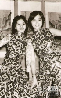 Ƹ̴Ӂ̴Ʒ 梅艷芳 Anita Mui & Ann Mui 梅爱芳 Ƹ̴Ӂ̴Ʒ | Добро пожаловать в группу ...